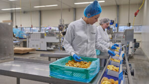 Processes - Kramers' Seafood